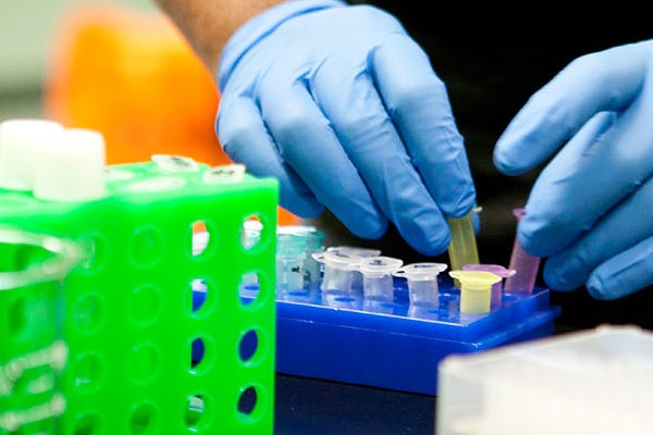 Biology, AS - LaGuardia Community College